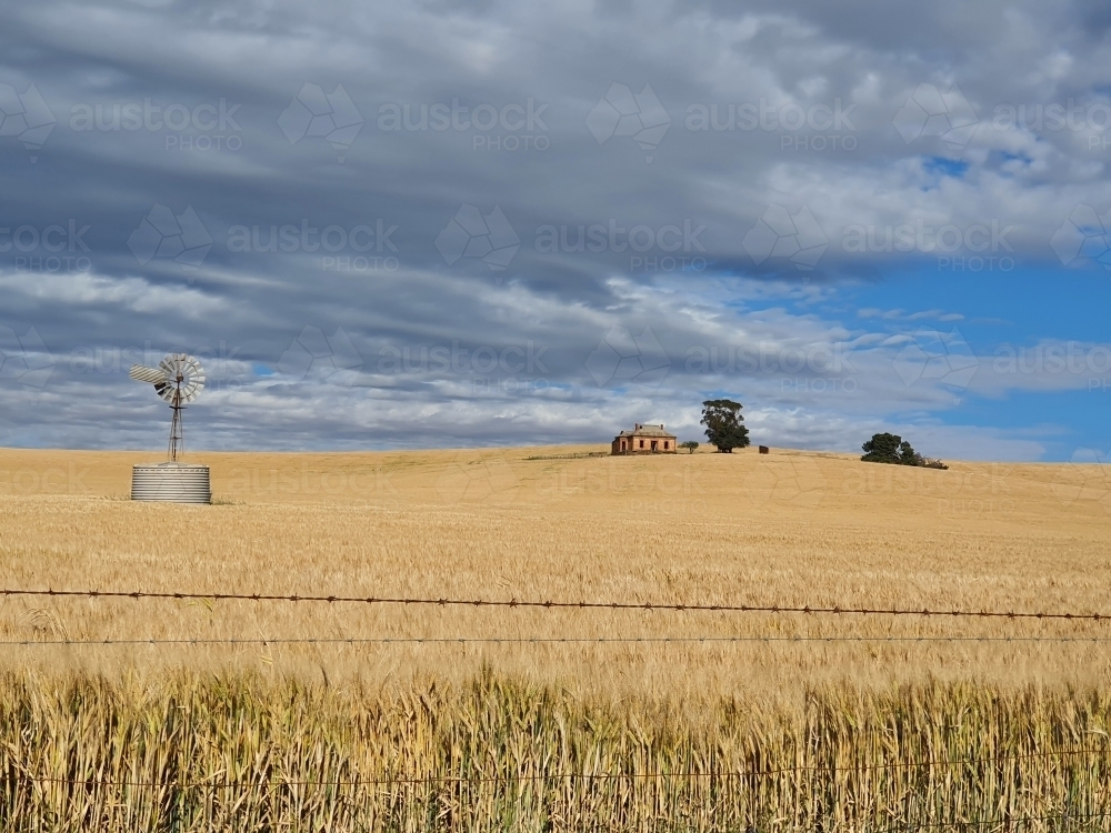 Image of windmill, tank and ruin in golden paddock - Austockphoto