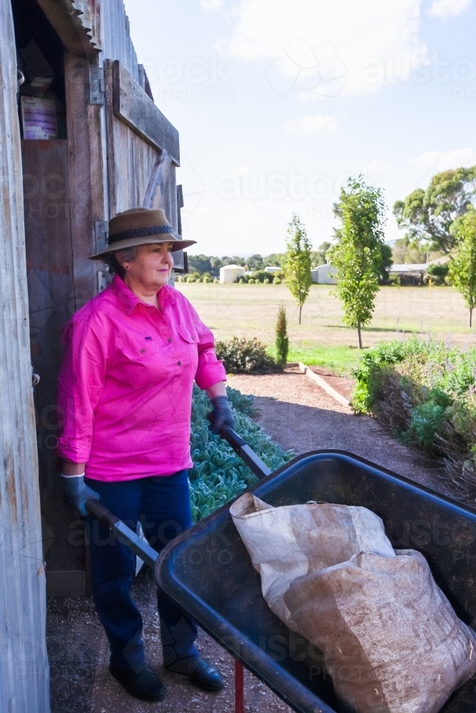 Image of Woman carrying a wheelbarrow with soil - Austockphoto