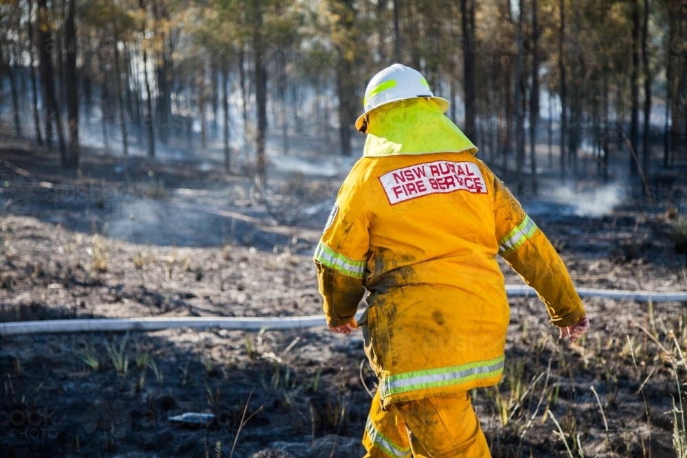 Image of Woman firefighter volunteer walking over grass burnt black in ...
