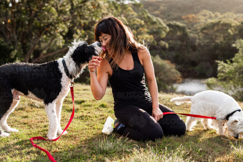 Image of Woman interacts with her two dogs, one black and white and ...