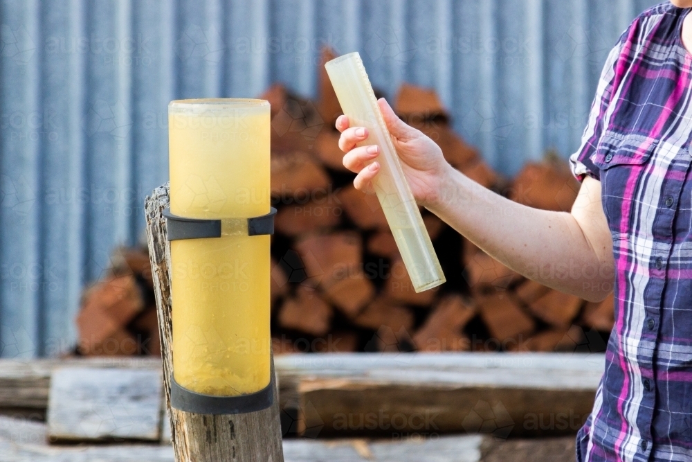 Image of Woman measuring rainfall in farm rain gauge - Austockphoto