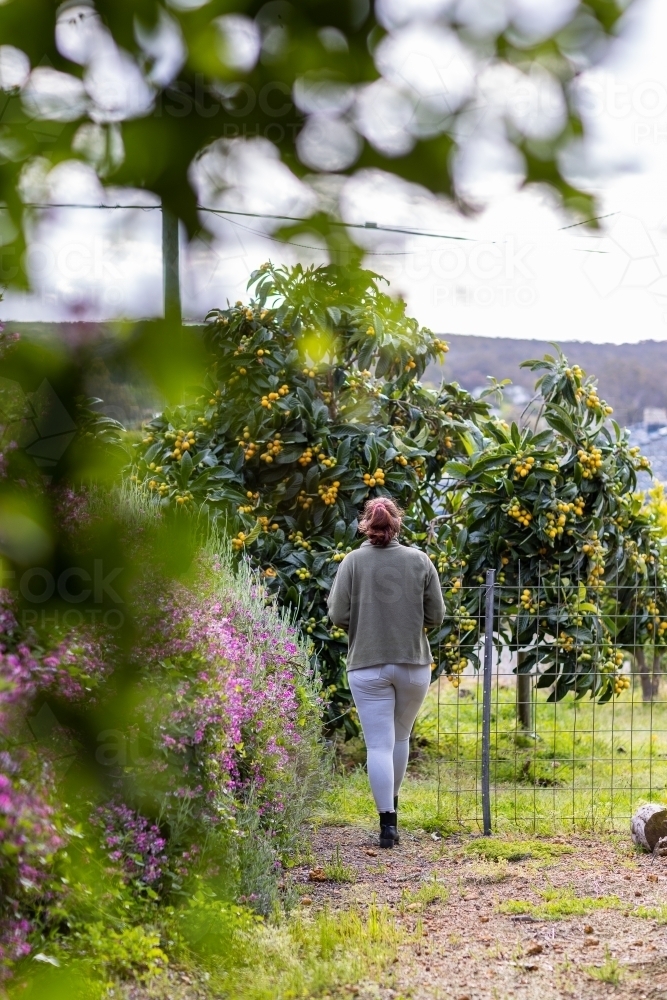 Image of woman seen from behind walking away in country garden ...