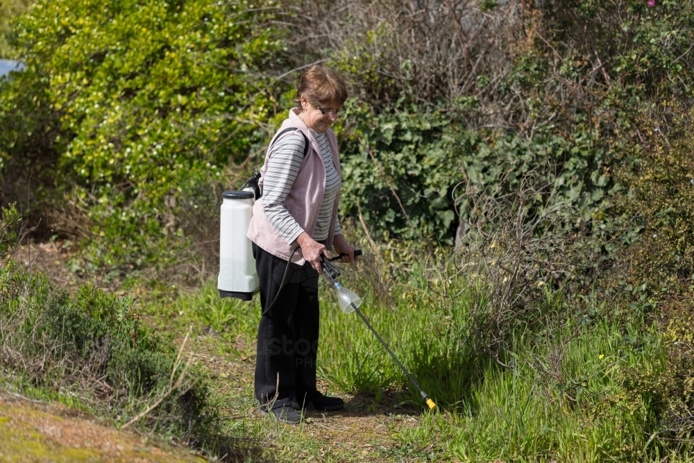 Image of Woman spraying weeds with herbicide - Austockphoto