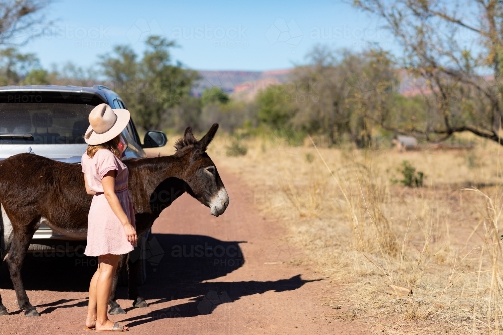 Image of woman standing beside pet donkey on station track - Austockphoto