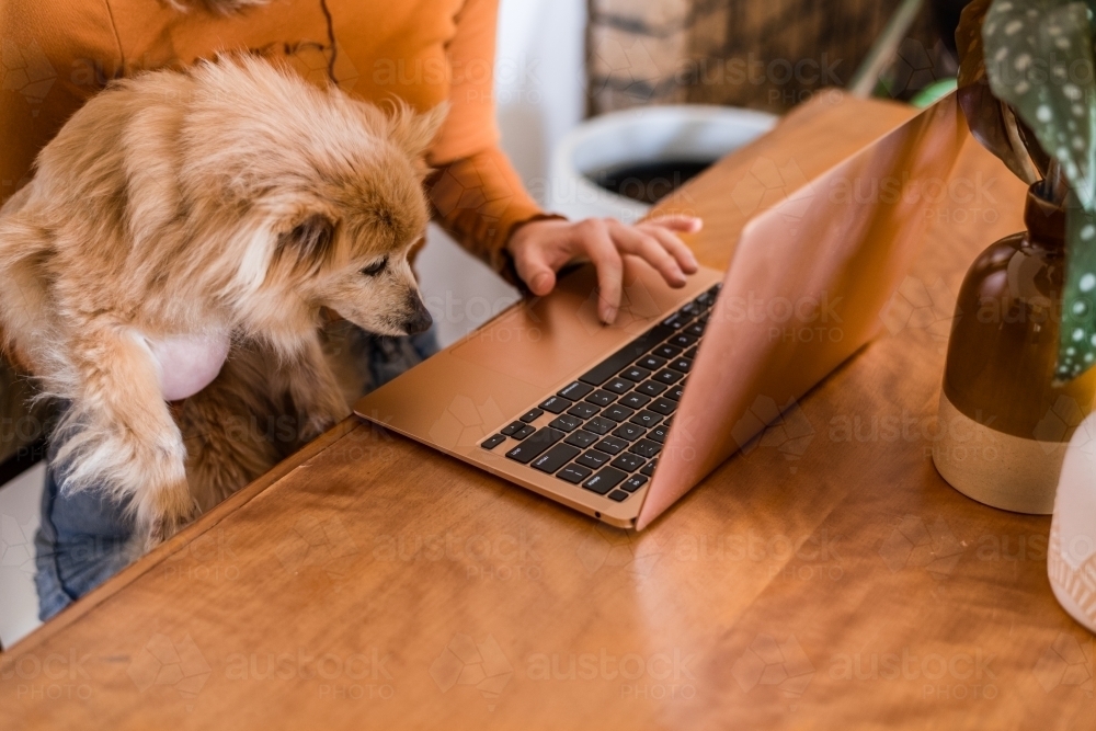 Image of woman using computer at home - Austockphoto