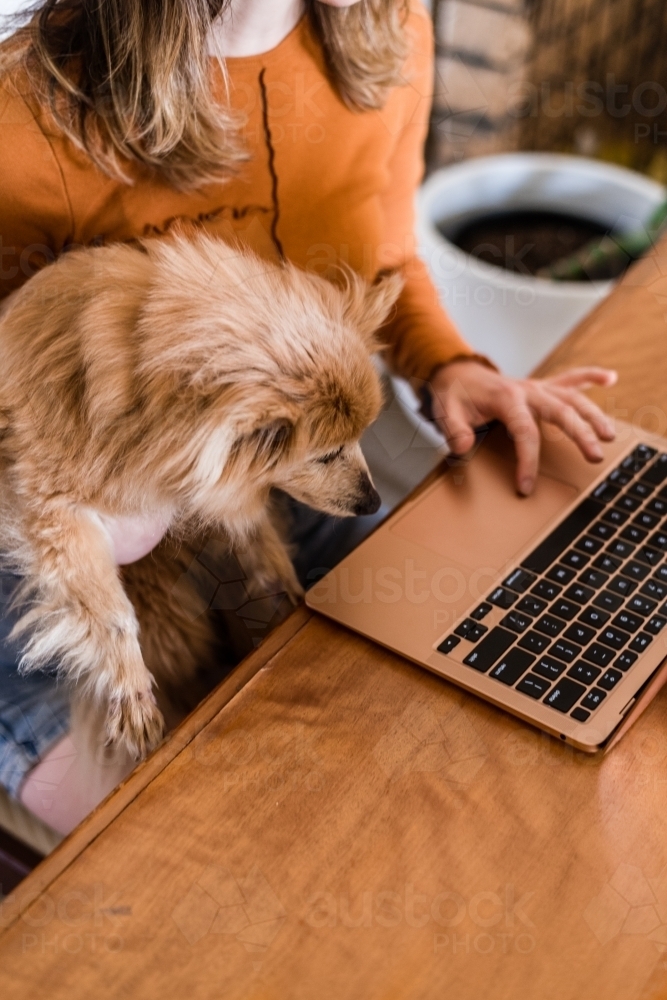 Image of woman using computer at home - Austockphoto