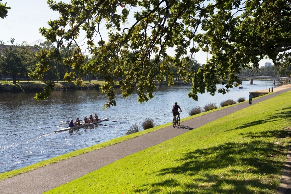 Image of Women rowing training on the yarra river with coach riding ...