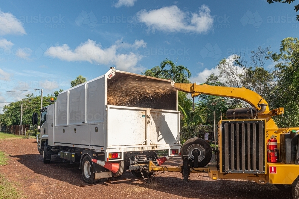 Image of wood chipper machine chipping felled tree - Austockphoto