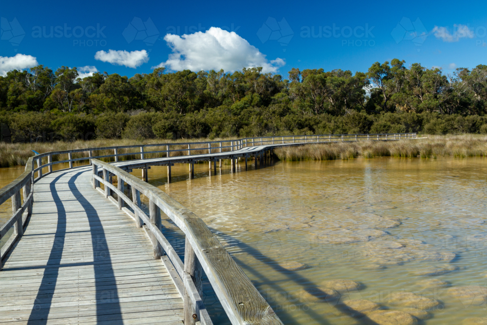 Image of Wooden boardwalk and thrombolites at Lake Clifton - Austockphoto