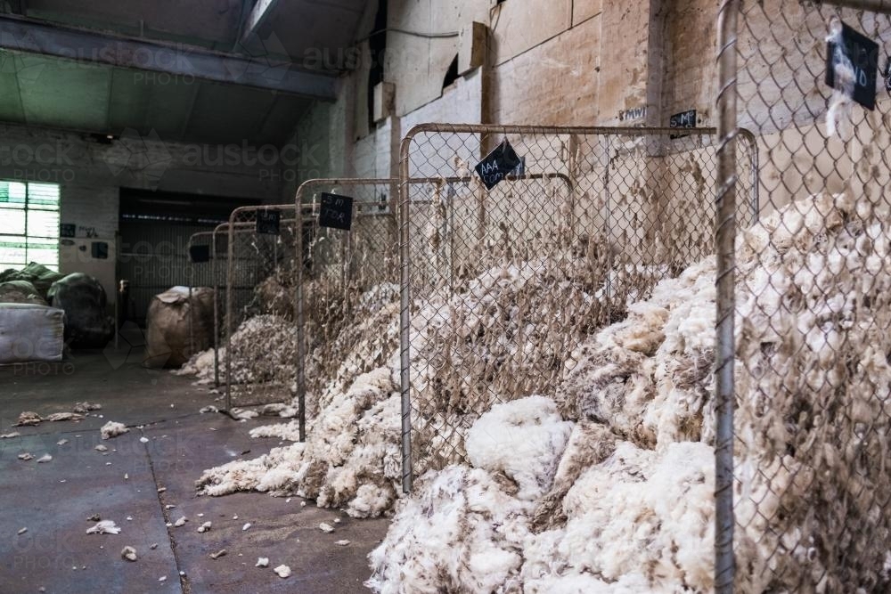 Image of Wool grading warehouse - Austockphoto
