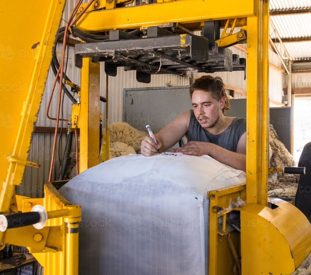 Image of wool-presser labelling wool bale in wool shed - Austockphoto