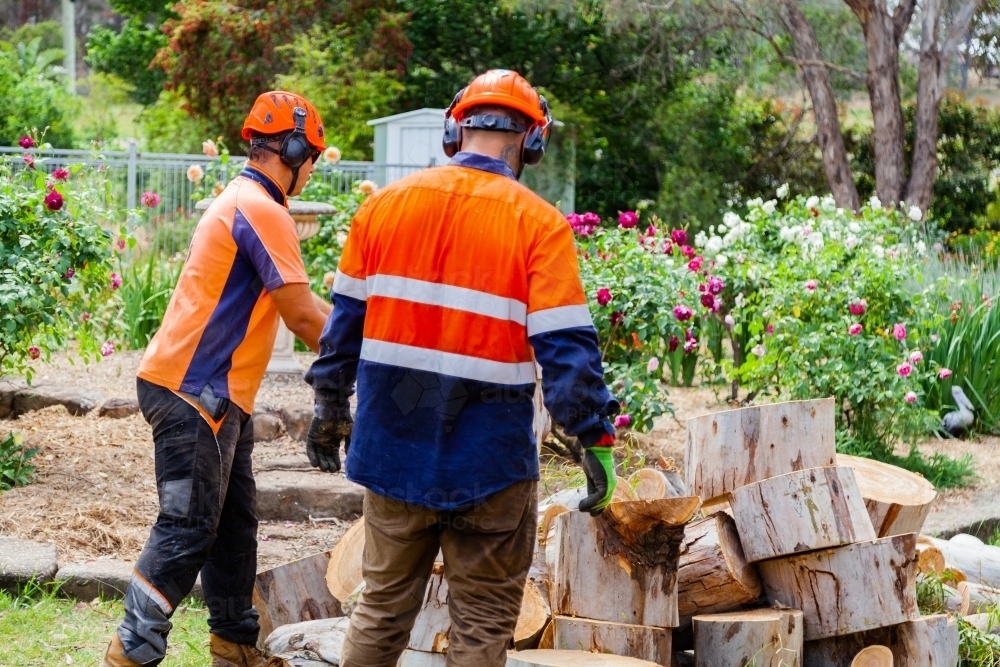 Image of Workman placing logs on pile - Austockphoto