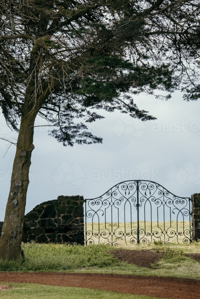 Image of Wrought Iron Gate Leading to Field Next to Tree - Austockphoto