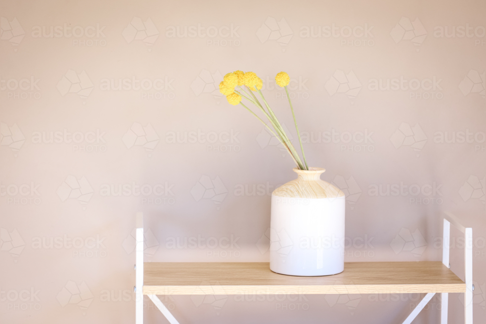 Image of Yellow Billy Button flowers in white vase with plain wall ...