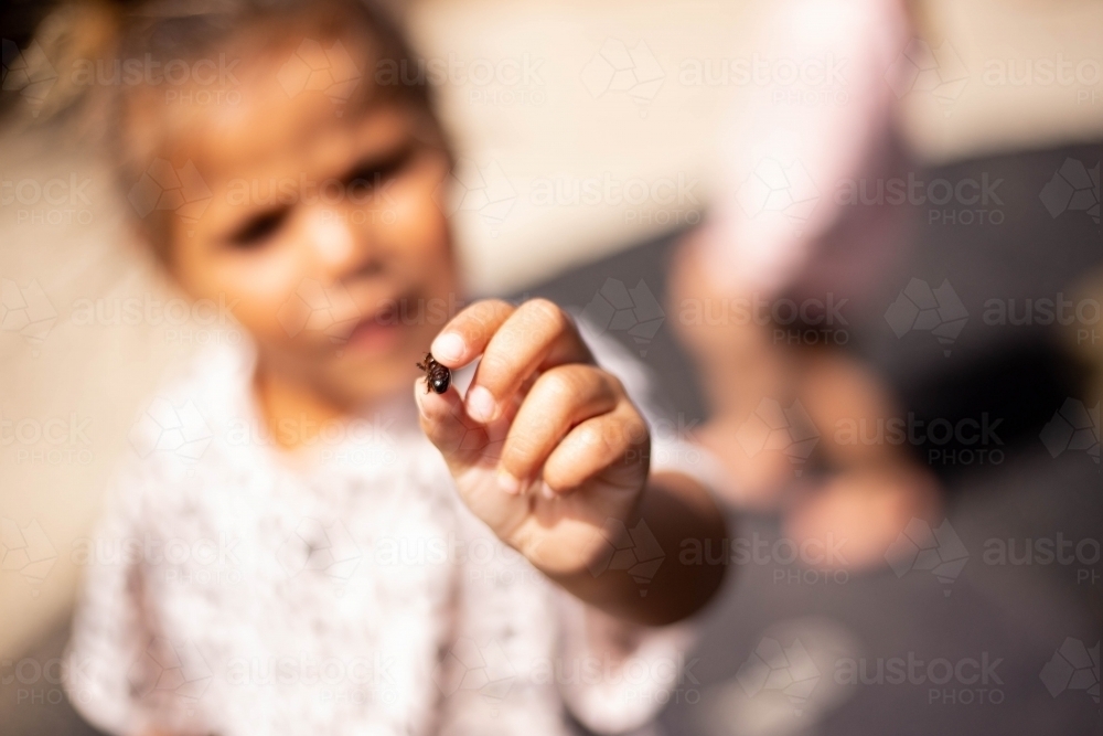 Image of Young Aboriginal girl holding an insect at preschool ...
