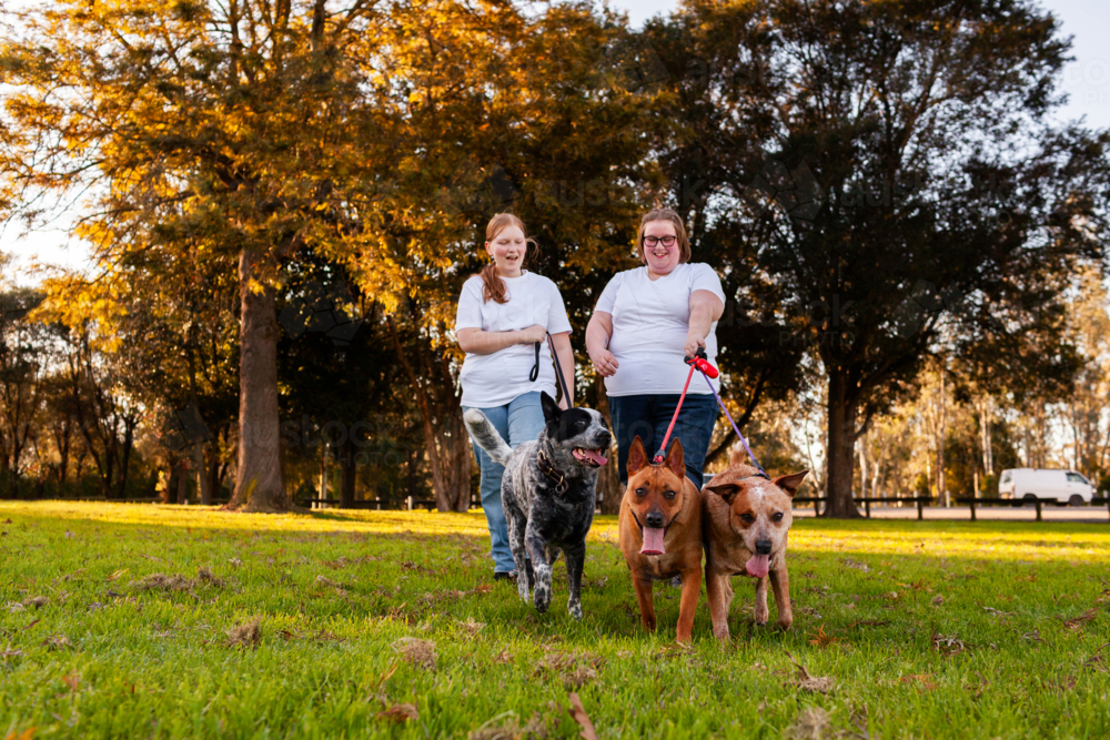 Image of Young aussie sisters and with their Australian cattle dog pets ...