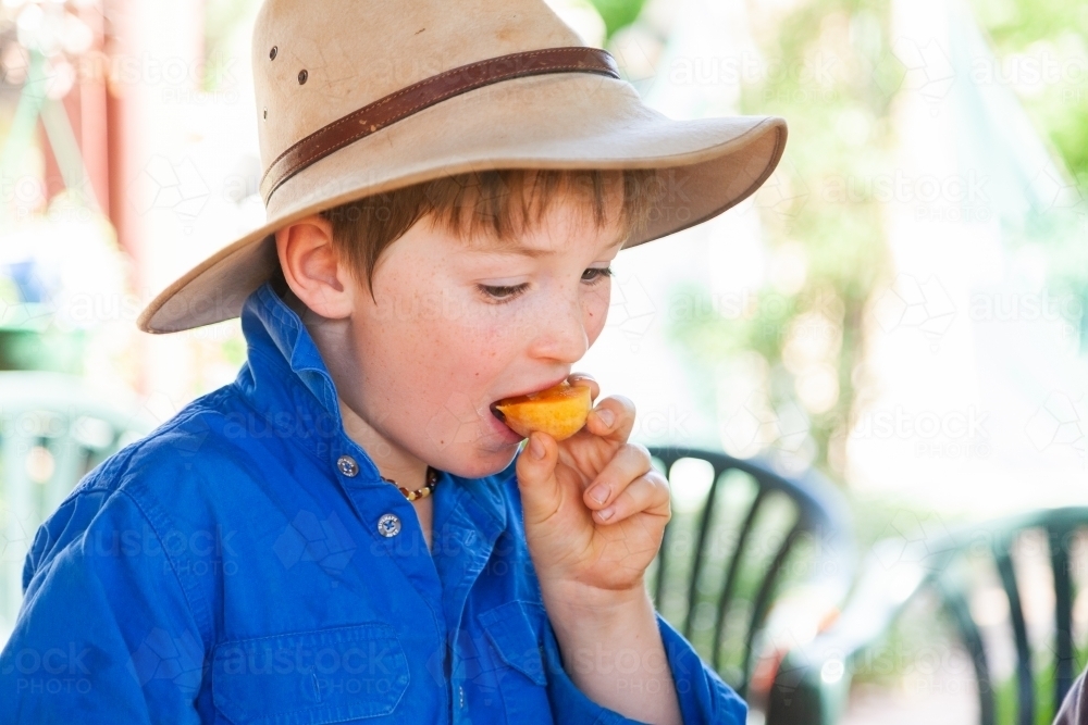 Image of Young boy eating fresh apricot - Austockphoto