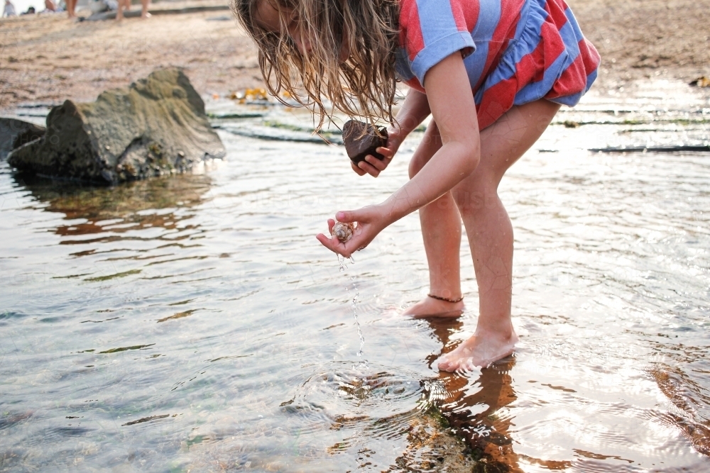 Image of Young girl looking for shells and rocks in the shallow waters ...