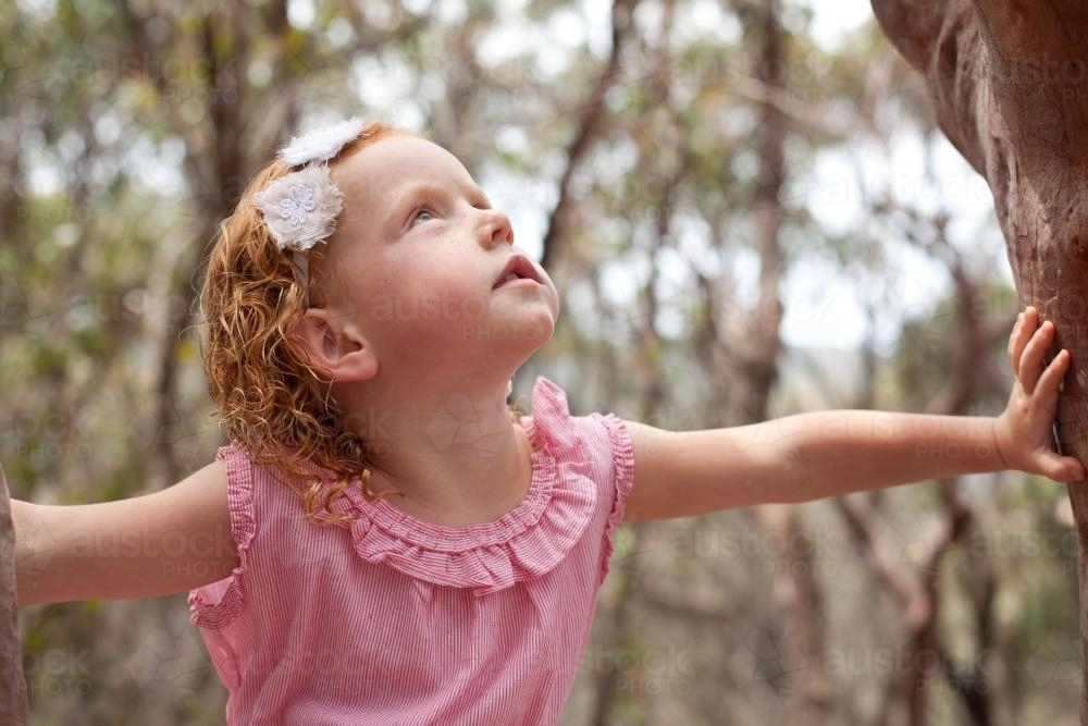 Image of Young girl looking up at the trees - Austockphoto