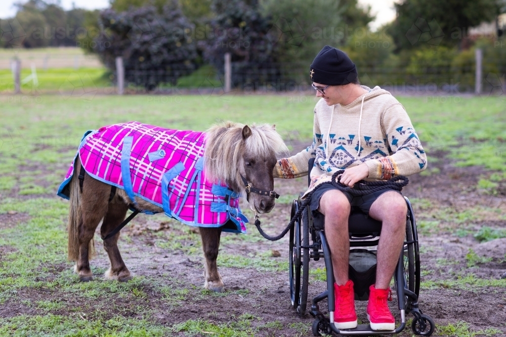 Image of young guy in wheelchair with miniature horse wearing pink ...
