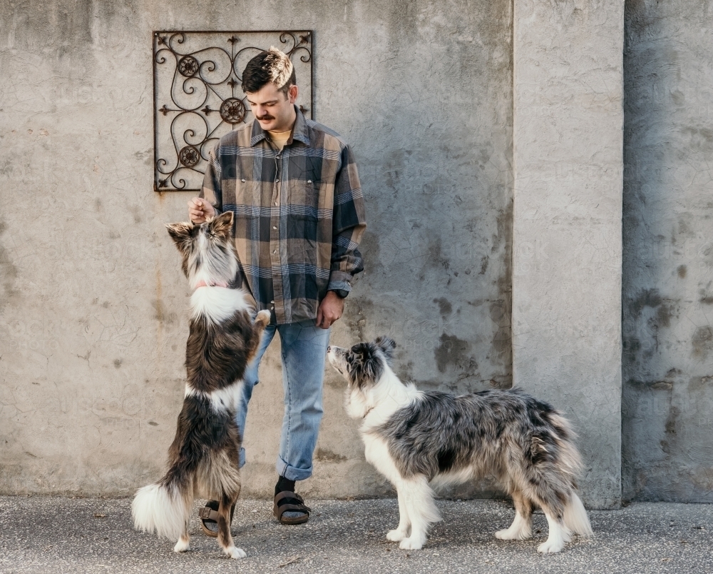 Image of Young man with two dogs - Austockphoto