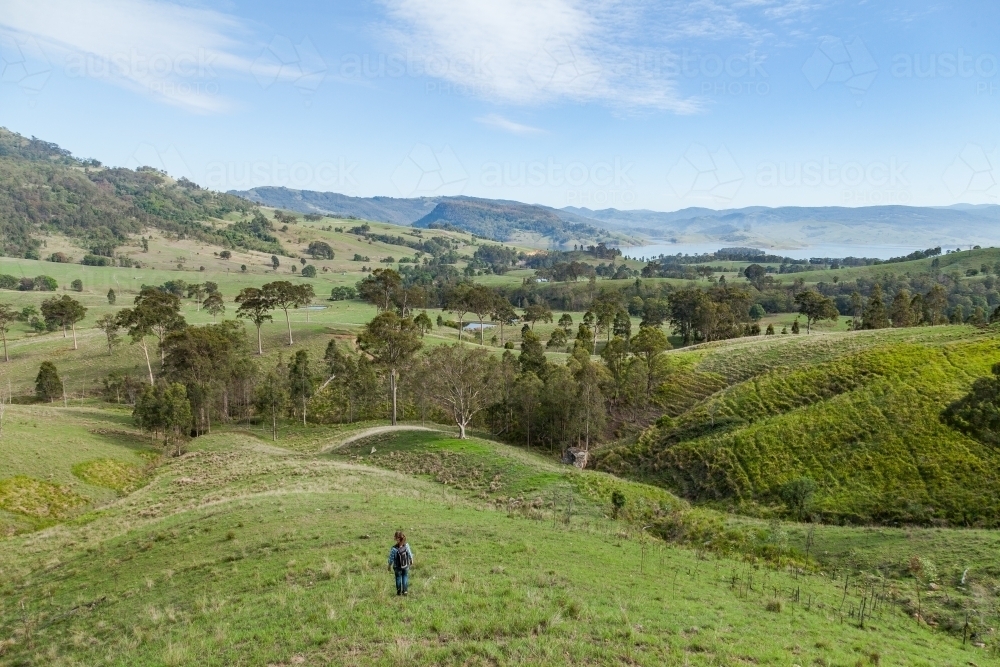 Image of Young person bush walking down green slope in hills and ...
