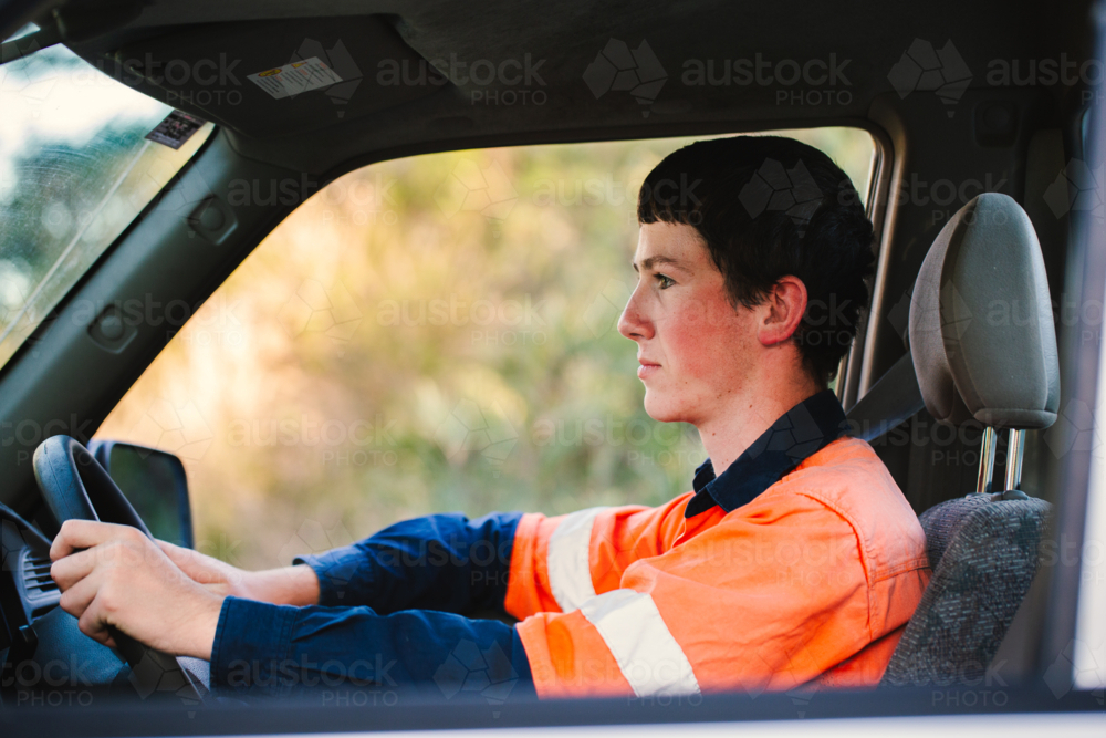 Image of Young teenaged Australian driver driving ute in country ...