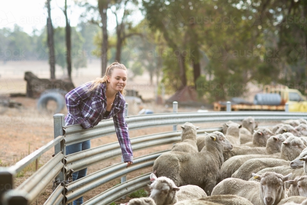 Image of Young woman on farm with sheep - Austockphoto