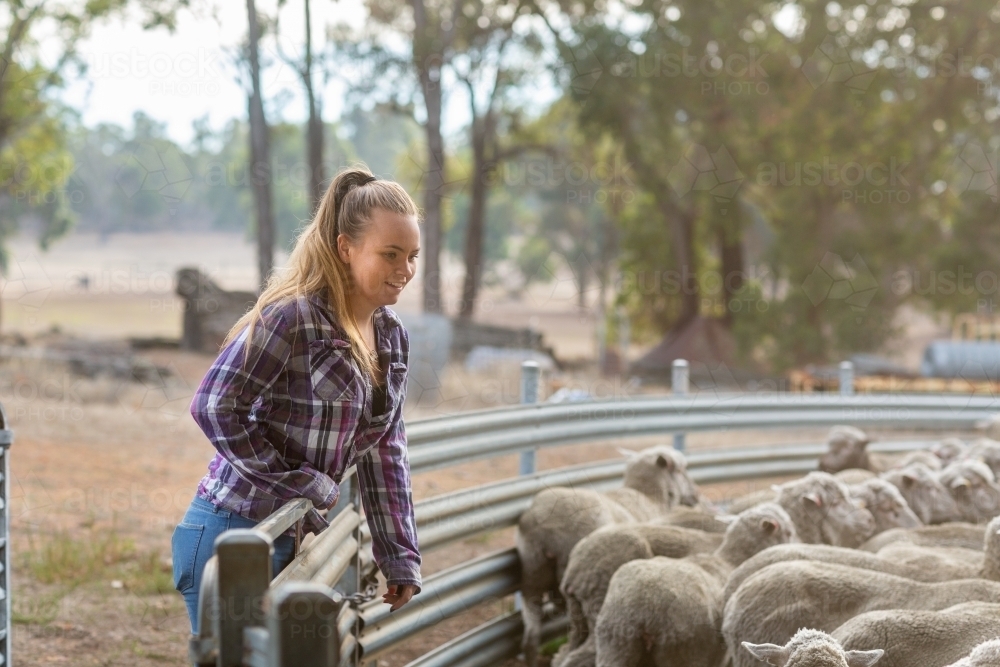 Image of Young woman on farm with sheep - Austockphoto